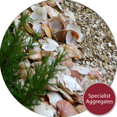 Buy Crushed Sea Shells - Scallop Footpath | Specialist Aggregates Ltd