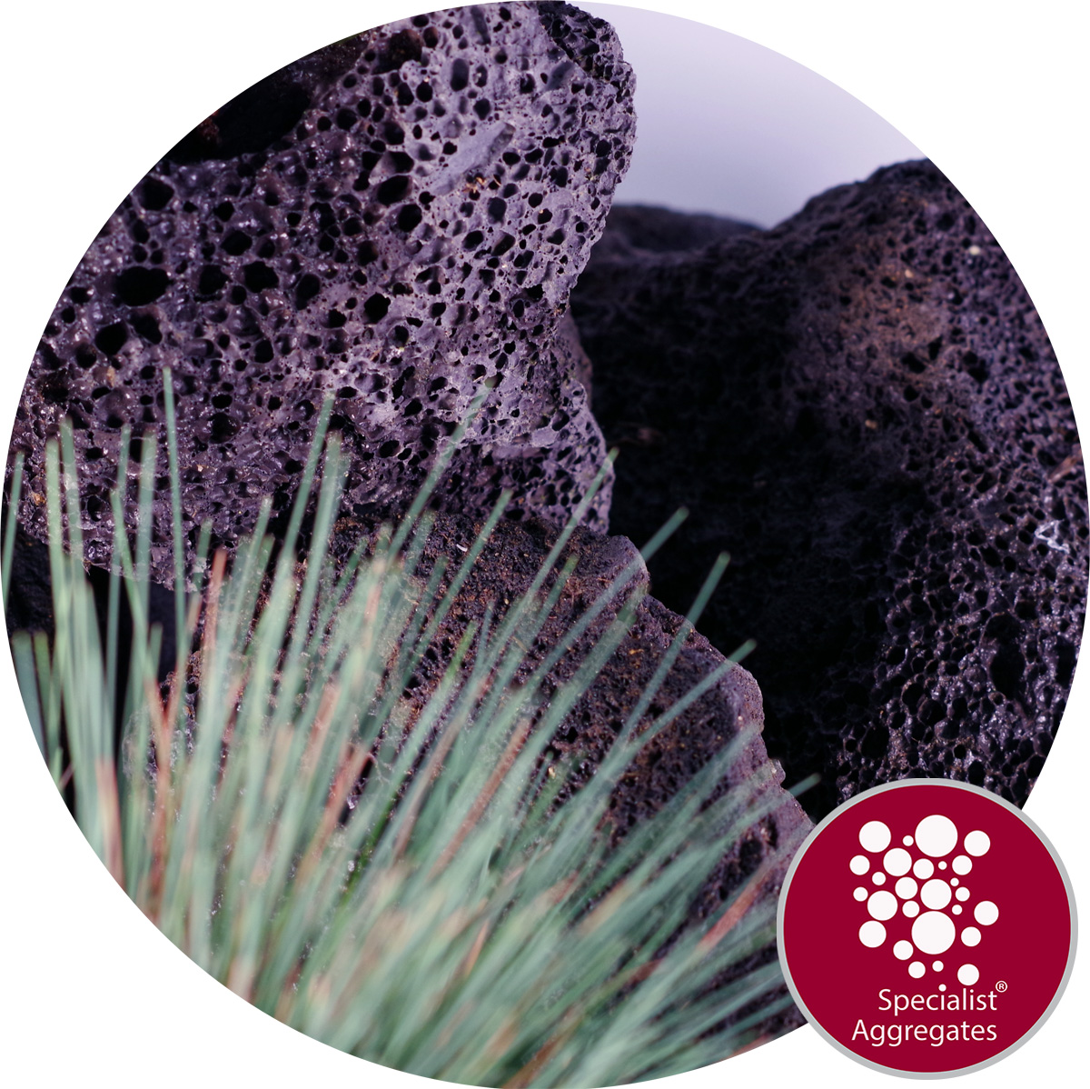 Buy Volcanic Lava - Black Rockery | Specialist Aggregates Ltd