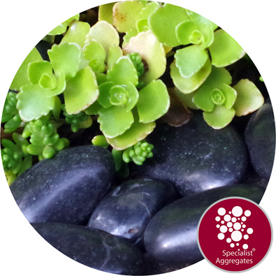 Buy Chinese Pebbles - Polished Black Granite - Small | Specialist ...