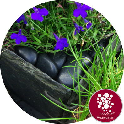 Buy Chinese Pebbles - Polished Black Granite - Small | Specialist ...