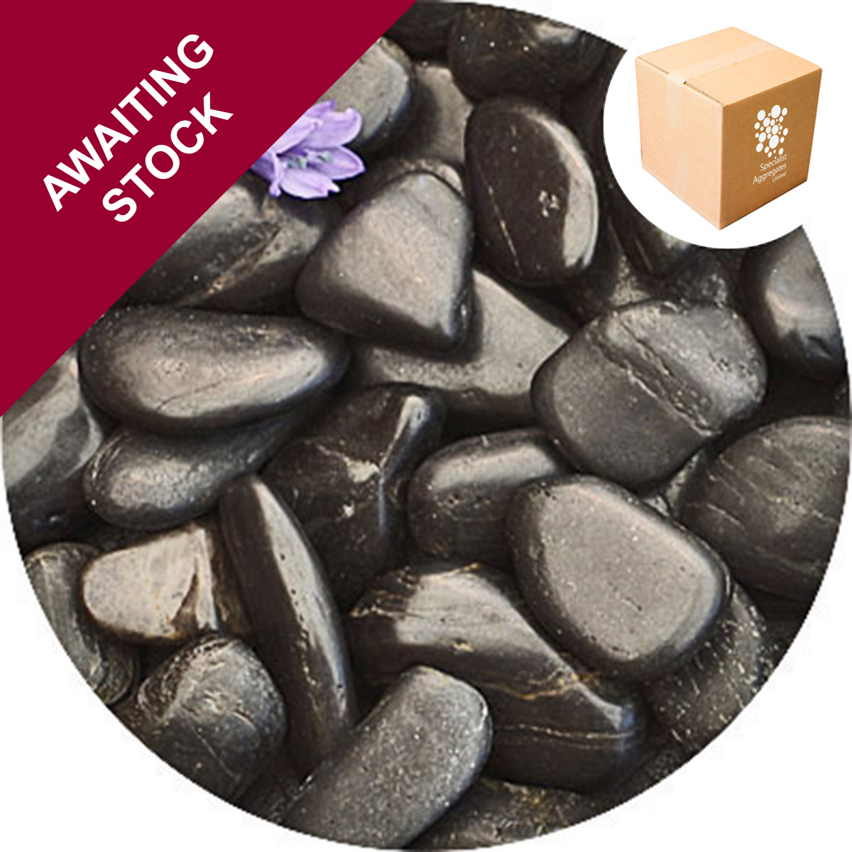 Buy Chinese Pebbles - Polished Black Granite - Small | Specialist ...