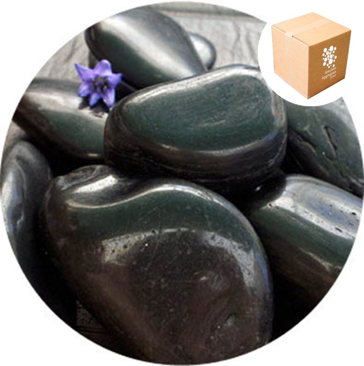 Buy Chinese Pebbles - Polished Black Granite - Large | Specialist ...