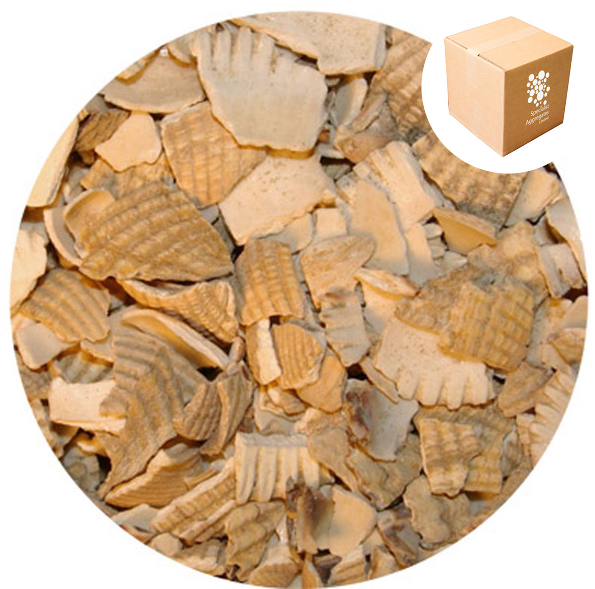 Buy Crushed Sea Shells - Cockle | Specialist Aggregates Ltd