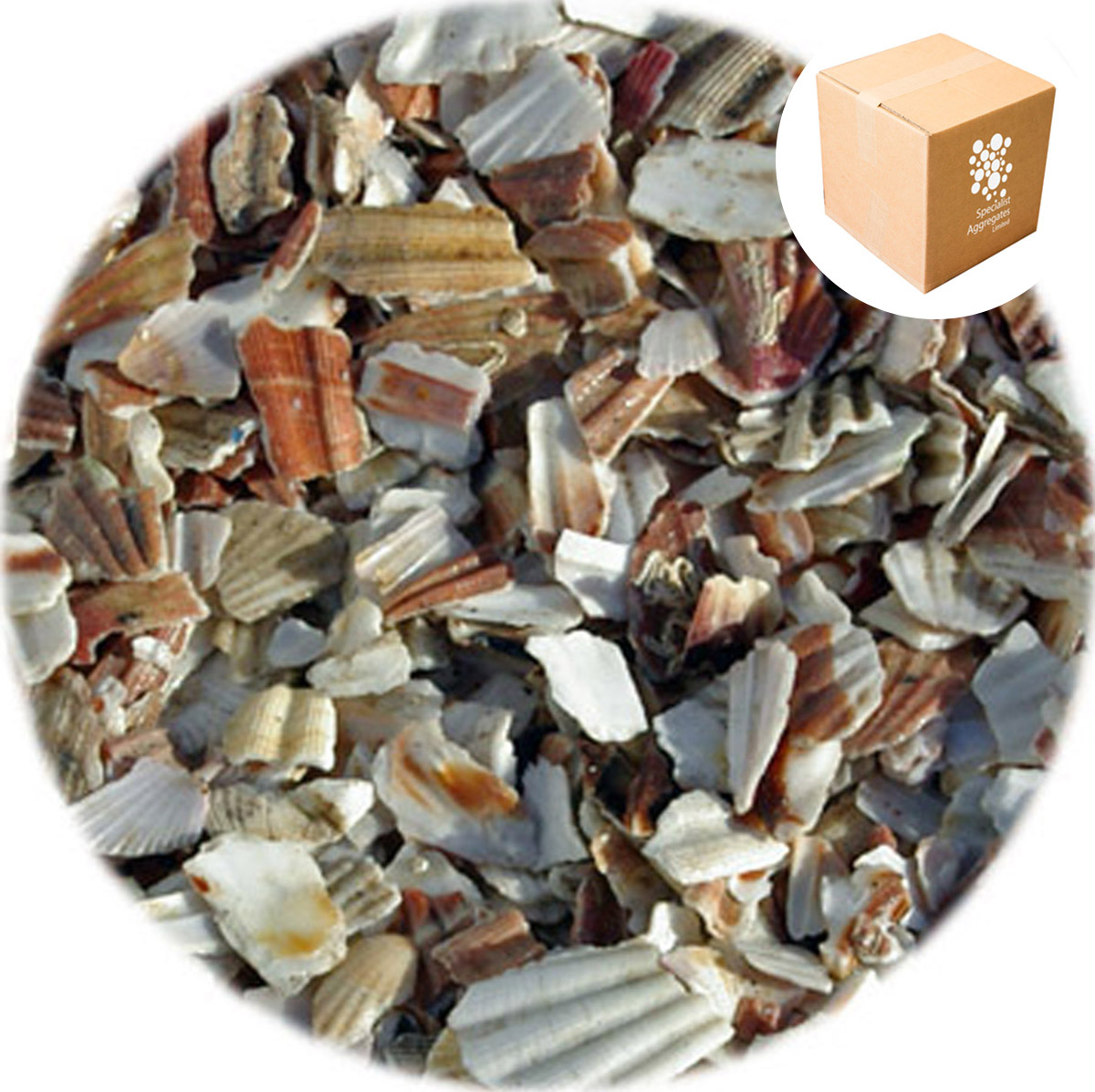 Buy Crushed Sea Shells - Scallop Footpath | Specialist Aggregates Ltd