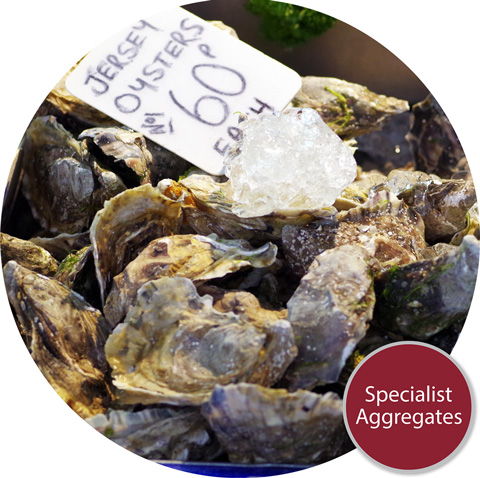 Buy Sea Shells - Natural Oyster | Specialist Aggregates Ltd