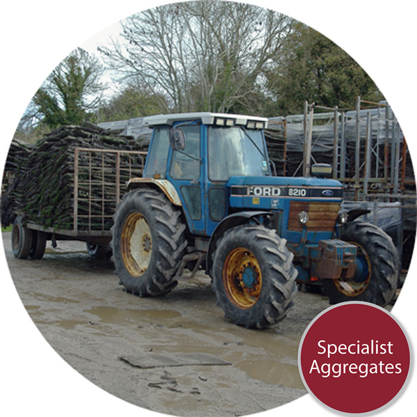 Buy Sea Shells - Natural Oyster | Specialist Aggregates Ltd