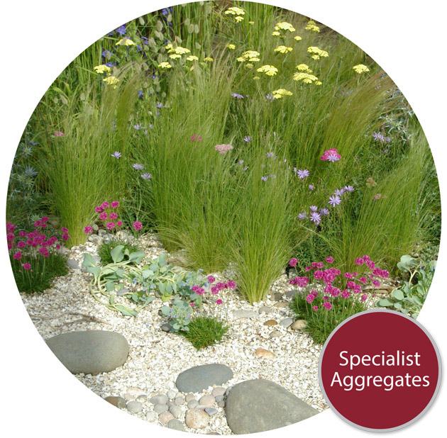 Sea Shells from Specialist Aggregates | Specialist Aggregates Ltd