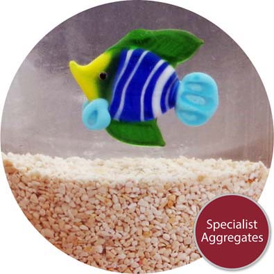 Bavaria's Jurassic lagoons provide a source of coral sand | Specialist ...