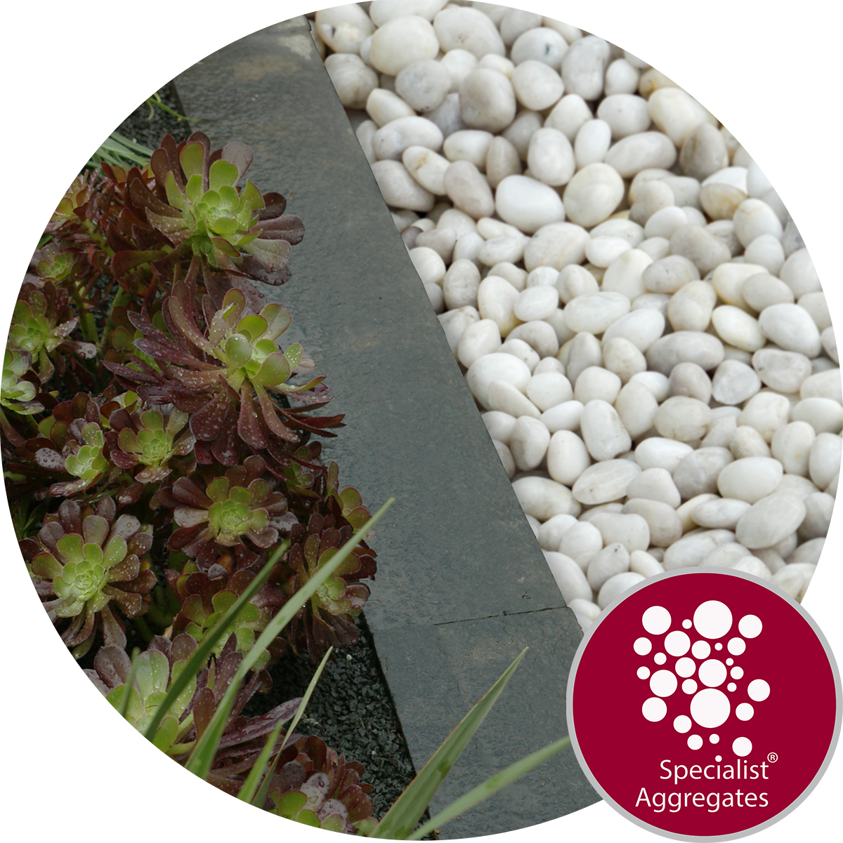Buy Chinese Pebbles - Polished Porcelain White | Specialist Aggregates Ltd