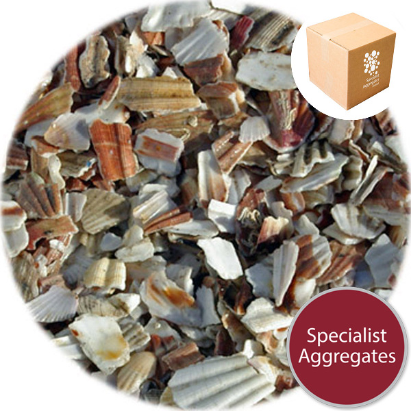 Buy Crushed Sea Shells - Scallop Footpath | Specialist Aggregates Ltd