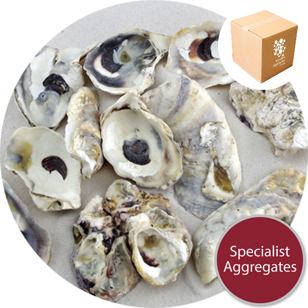 Buy Sea Shells - Natural Oyster | Specialist Aggregates Ltd
