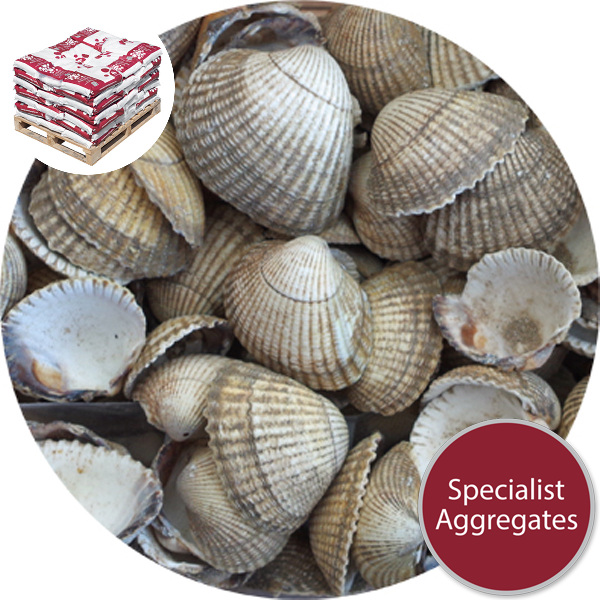 Buy Sea Shells - Whole Cockle | Specialist Aggregates Ltd