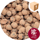 Buy Sea Shells - Natural Whole Cockle | Specialist Aggregates Ltd